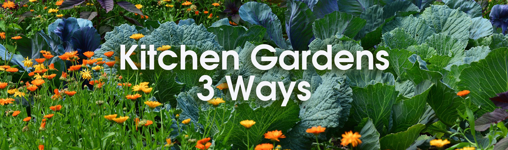 Kitchen Gardens 3 Ways - The Country Barn