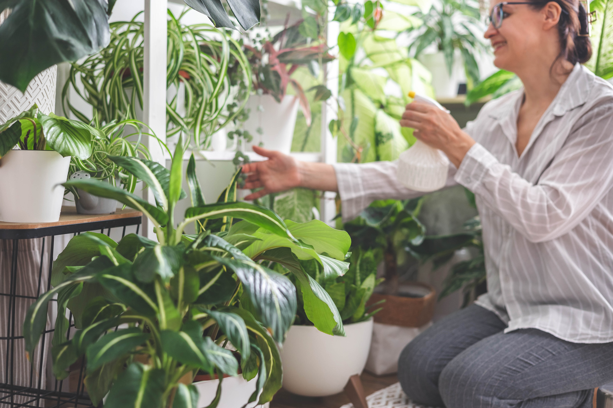 Indoor Gardening 101: Bringing Greenery Indoors for the Winter - The ...